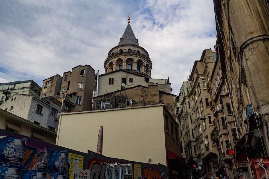 Veritas Side-Clamping Honing Guide - Precision Sharpening Made Easy